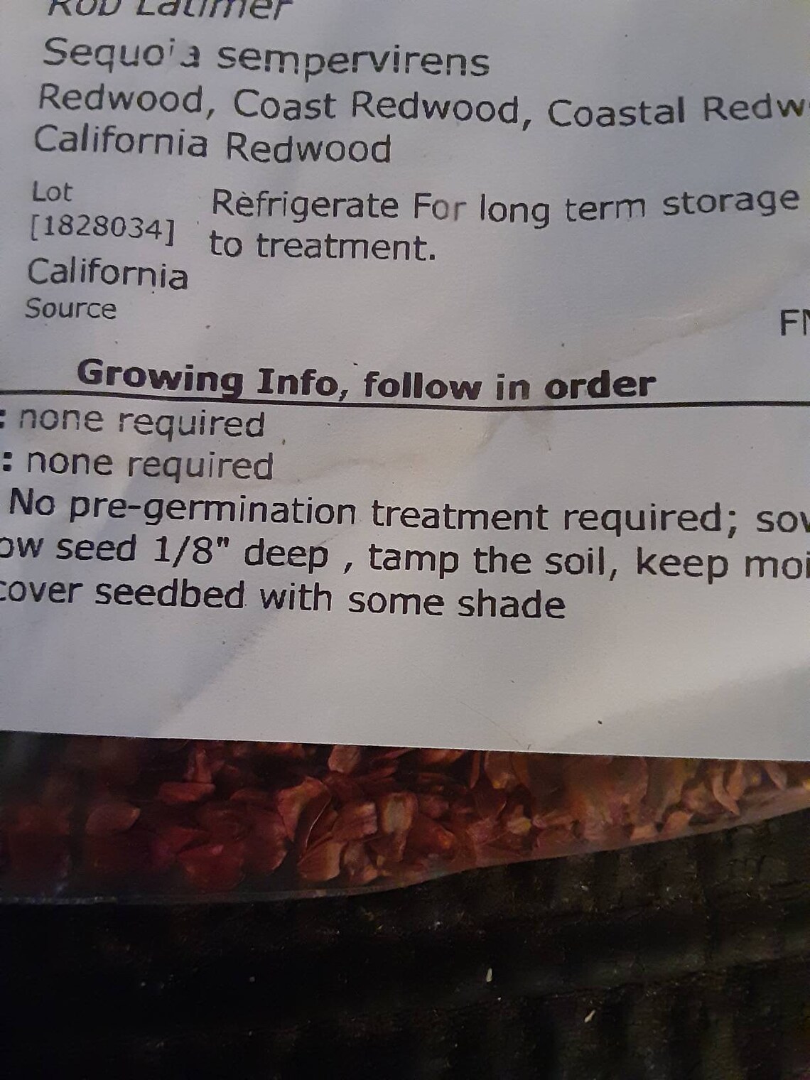 California Redwood Tree Seeds sequoia Sempervirens - Etsy