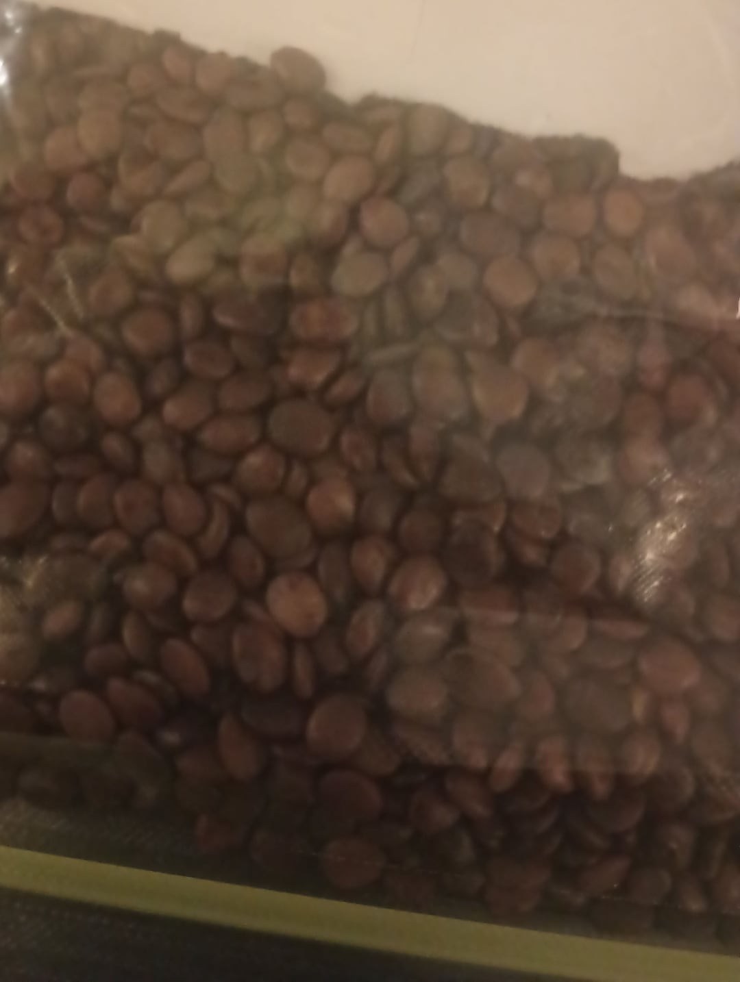 Northern Redbud Tree Seeds cercis Canadensis Northern - Etsy