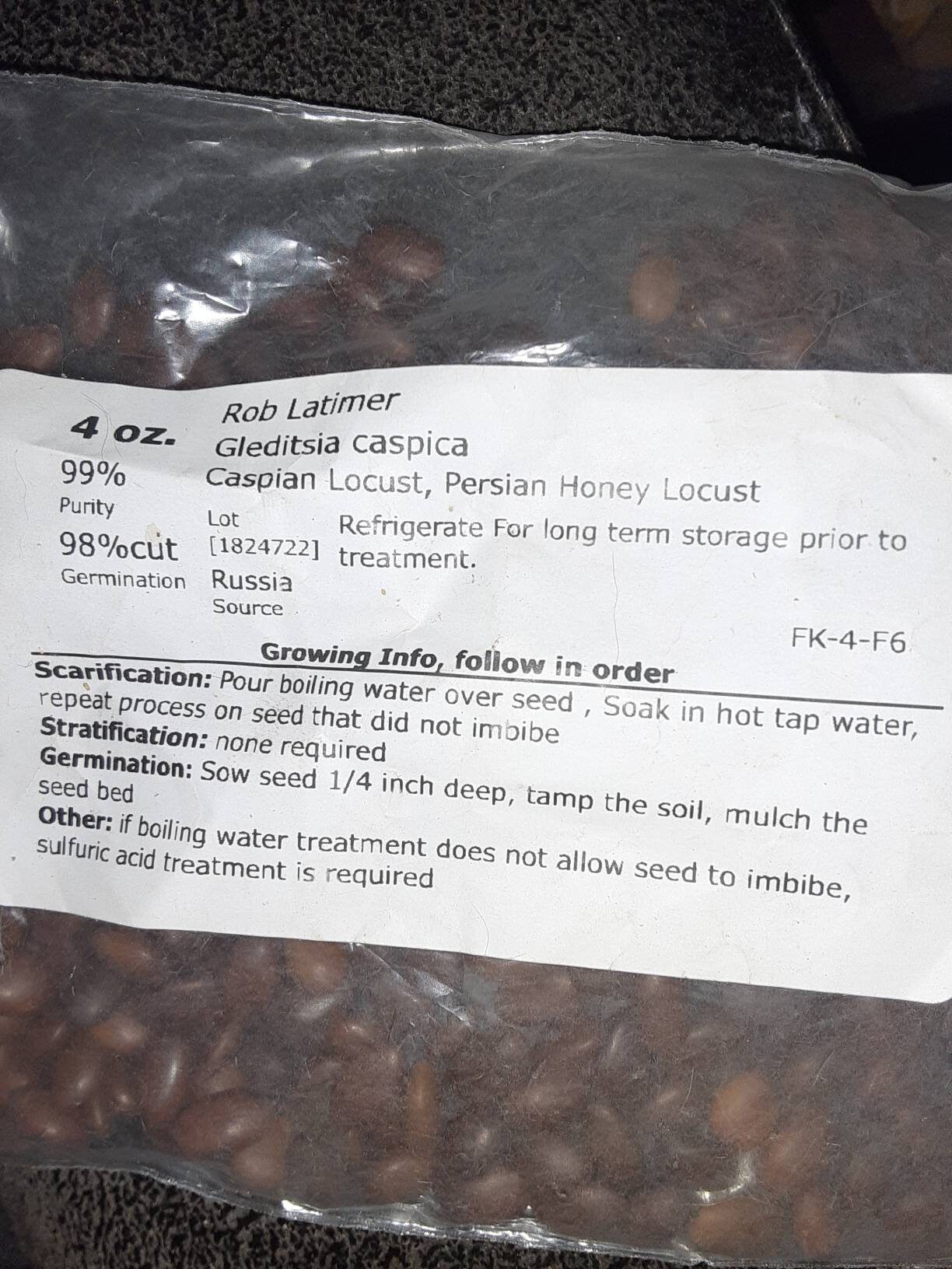 Caspian Locust Tree Seeds gleditsia caspica | Etsy