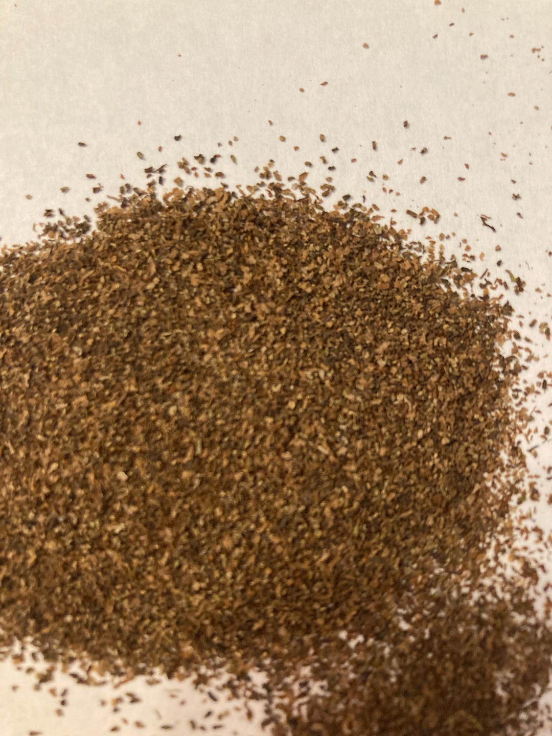 Oakleaf Hydrangea Shrub Seeds (HYDRANGEA QUERCIFOLIA) - Etsy