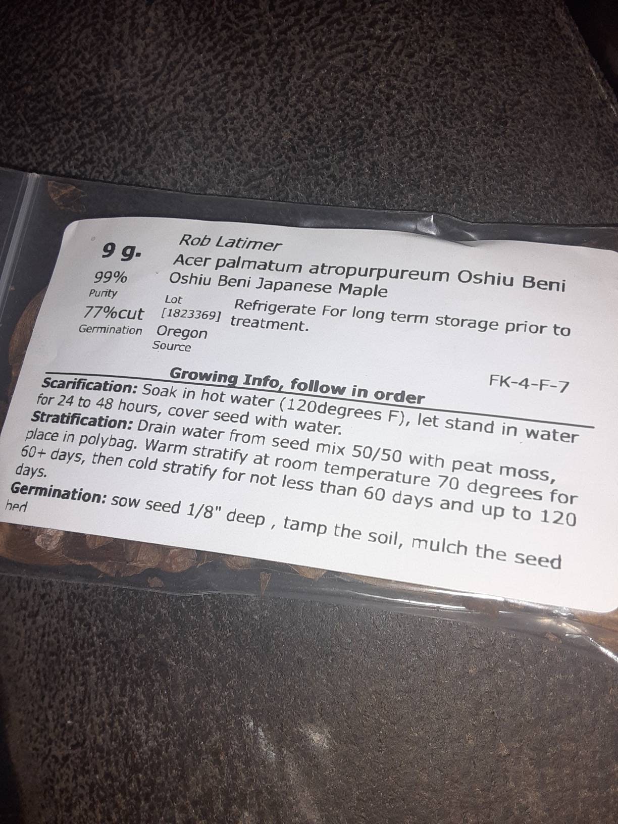 Oshiu Beni Japanese Maple Tree Seeds - Etsy