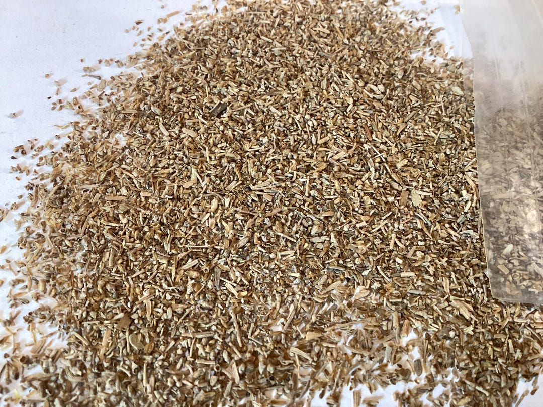 Big Sagebrush Tree Seeds (ARTEMISIA TRIDENTATA) (wyoming Big Sagebrush ...