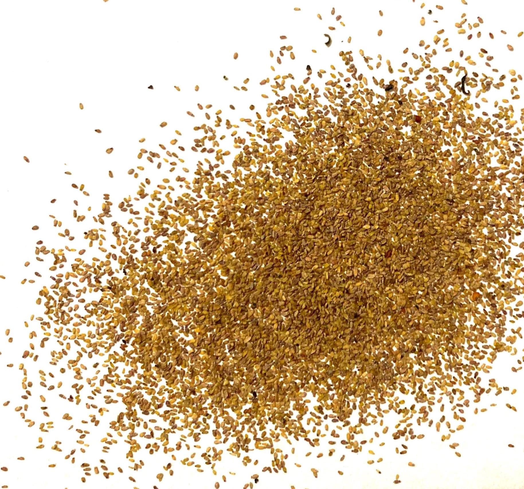 Trembling Aspen Tree Seeds (POPULUS TREMULOIDES) (quaking Aspen) - Etsy