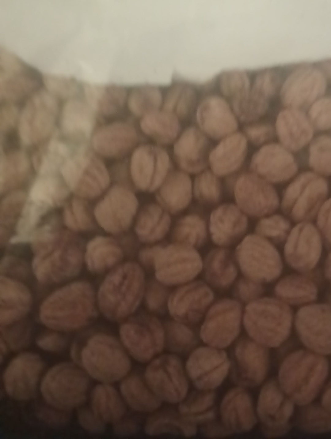 Russian Hawthorn Tree Seeds crataegus Ambigua - Etsy