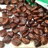 아욱 Seeds (50+) Mallow Seeds. - Etsy