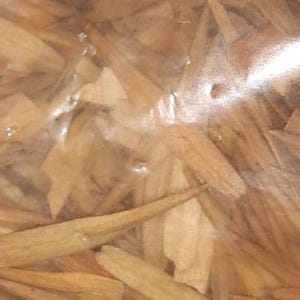 Green Ash Tree Seeds (FRAXINUS PENNSYLVANICA) (red Ash, Northern Red ...