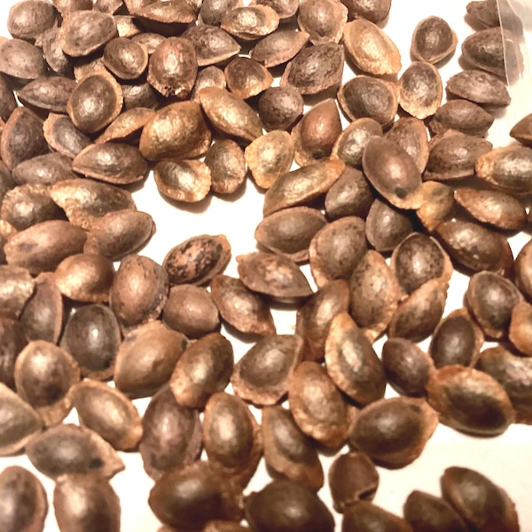 The Balkan Shop - Etsy