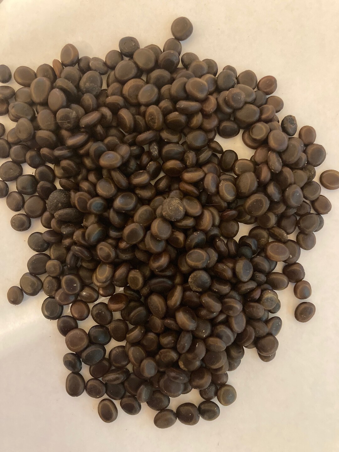 Gum Arabic Tree Seed ACACIA ARABICA Acacia Nilotica Subsp. Tomentosa ...