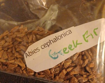 Greek Seeds - Etsy