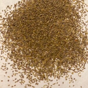 Trembling Aspen Tree Seeds (POPULUS TREMULOIDES) (quaking Aspen) - Etsy