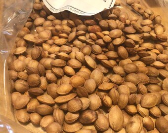 American Plum Seeds Prunus Americana - Etsy