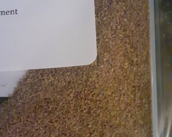 Quaking Aspen Tree Seeds Aspen Tree Seeds Aspen Trees - Etsy