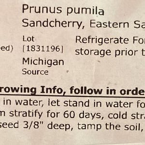 Eastern Sand Cherry Tree Seeds (PRUNUS PUMILA) (sandcherry) - Etsy