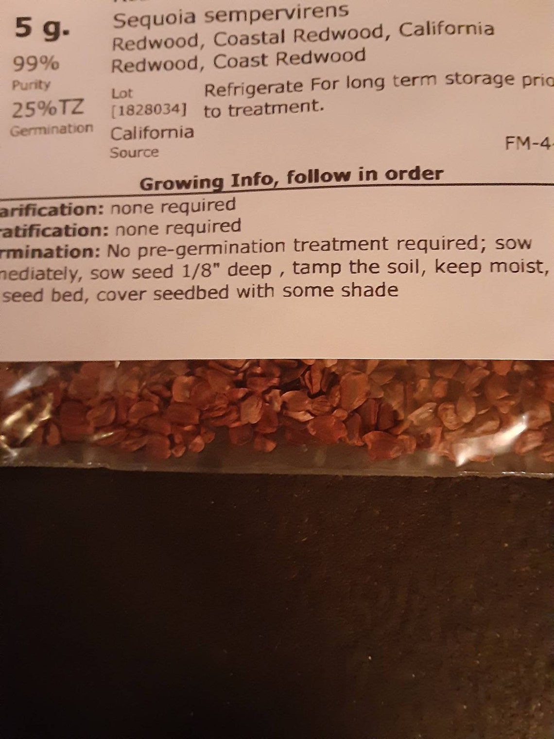 Coastal Redwood Tree Seeds sequoia Sempervirens - Etsy