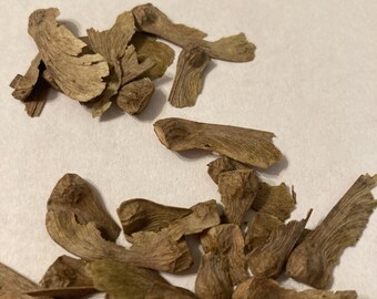 Acer Palmatum japanese Maple, U.S.A. D.w. Tree Seeds, Elegant Form and ...