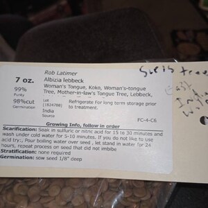 Koko Tree Seeds (albizia Lebbeck) (siris Tree) (mother-in-law's Tongue ...