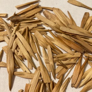 Green Ash Tree Seeds (FRAXINUS PENNSYLVANICA) (red Ash) (northern Red ...