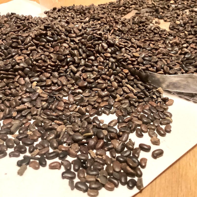 Rare Items for Gift - 60+ Gift Ideas for 2026