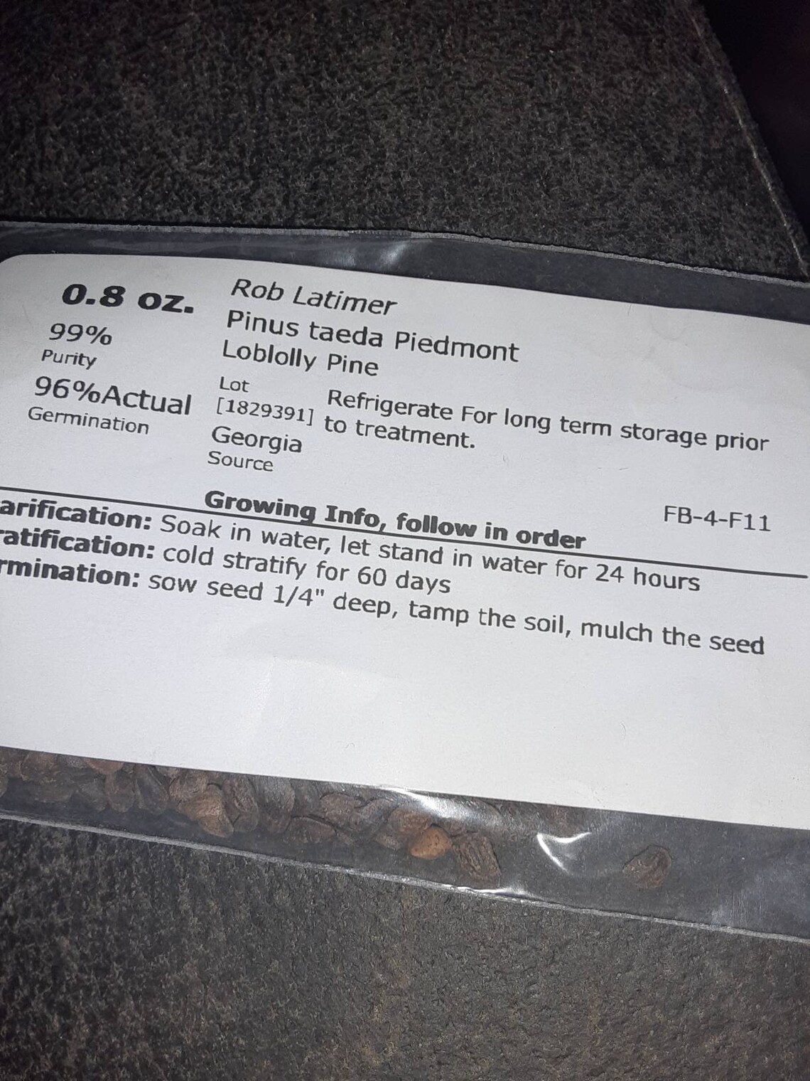 Loblolly Pine Tree Seeds pinus Taeda Piedmont fresh Crop - Etsy