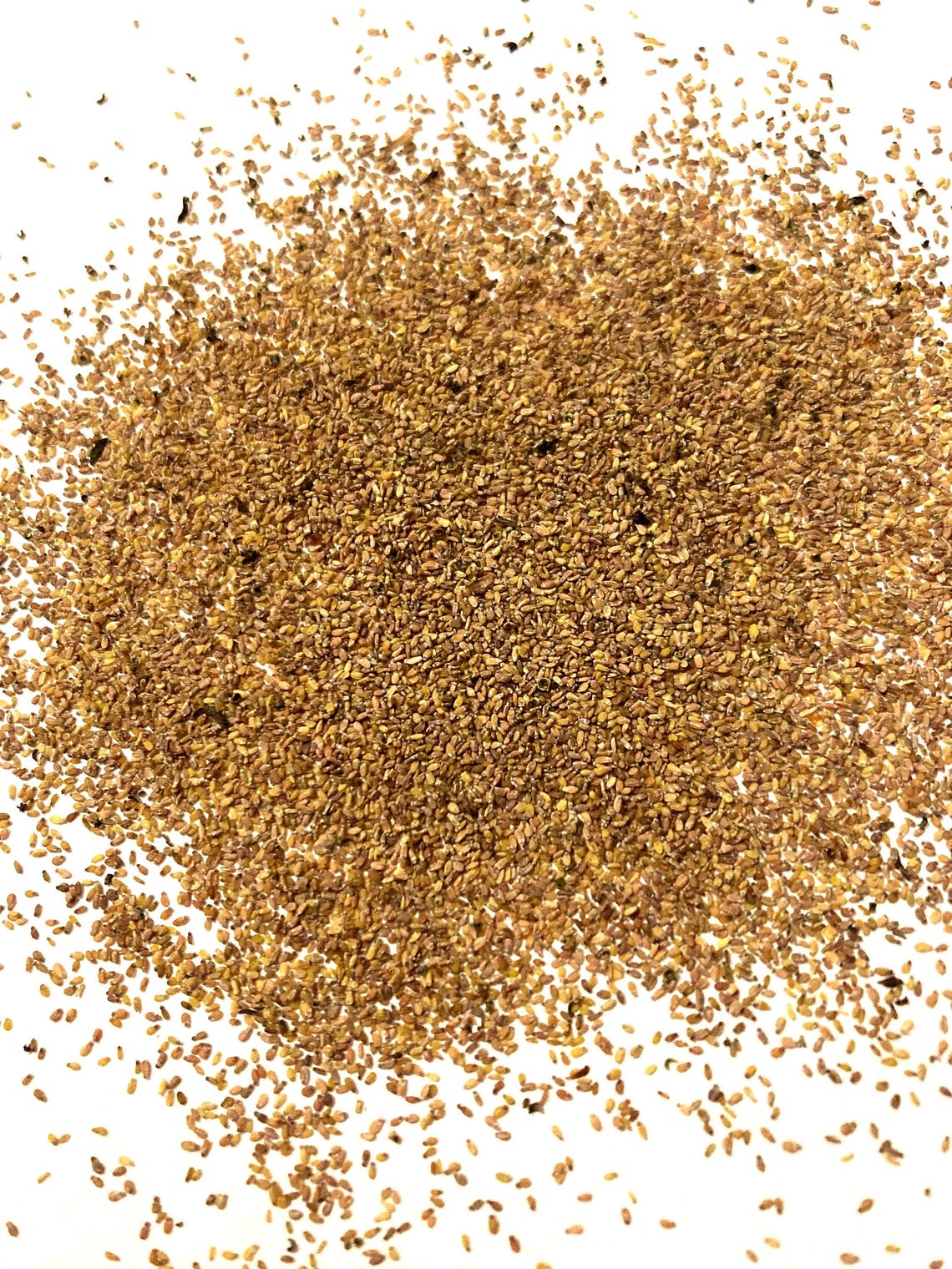 Trembling Aspen Tree Seeds (POPULUS TREMULOIDES) (quaking Aspen) - Etsy
