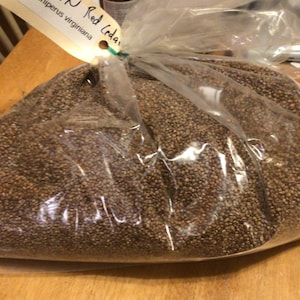 Eastern Red Cedar Tree Seeds JUNIPERUS VIRGINIANA 2024 New Supply - Etsy