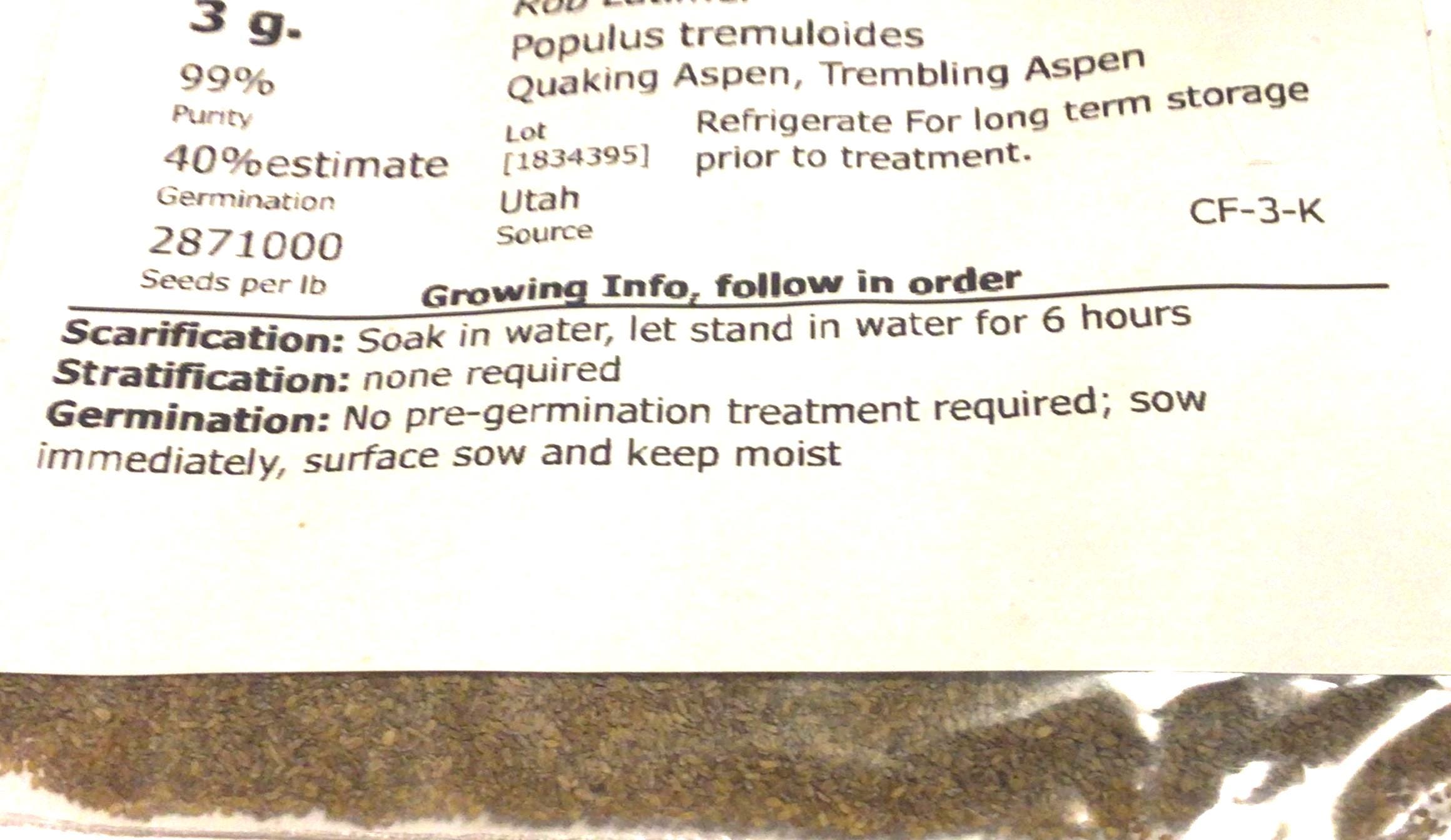 Trembling Aspen Tree Seeds (POPULUS TREMULOIDES) (quaking Aspen) - Etsy