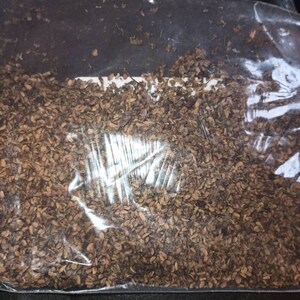 American Elder Tree Seeds SAMBUCUS CANADENSIS blackberry Elder sweet ...