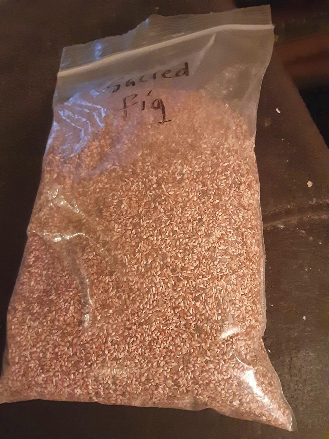 Peepul Tree Seeds FICUS RELIGIOSA sacred Fig - Etsy