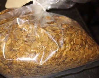 Chinese Mahogany Tree Seeds toona Sinensis 50seeds - Etsy