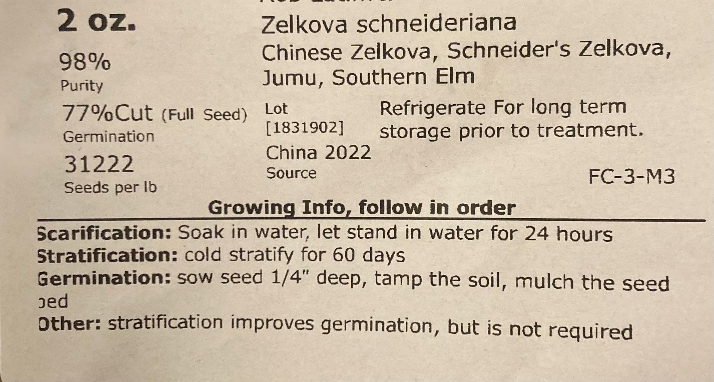 Southern Elm Tree Seeds (ZELKOVA SCHNEIDERIANA) (schneider’s Zelkova ...