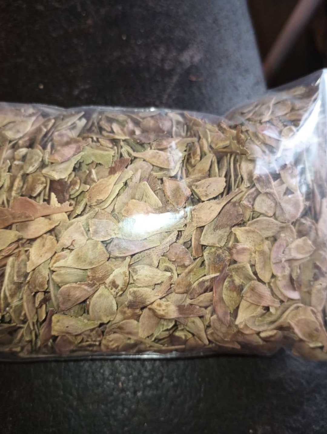 Mono Maple Tree Seeds (acer Truncatum Var. Mono) - Etsy