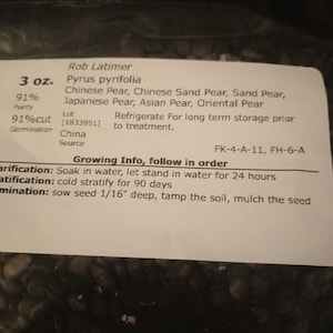 Chinese Sand Pear Tree Seeds (PYRUS PYRIFOLIA) (chinese Pear)(sand Pear ...