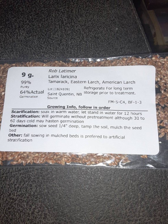 Tamarack Seed
