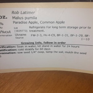 Common Apple Tree Seeds malus Pumila paradise Apple - Etsy