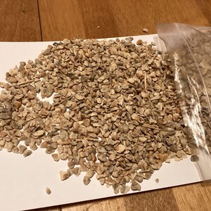 Shadscale Shrub Seeds (ATRIPLEX CONFERTIFOLIA) (spiny Saltbush) - Etsy