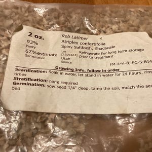 Shadscale Shrub Seeds (ATRIPLEX CONFERTIFOLIA) (spiny Saltbush) - Etsy