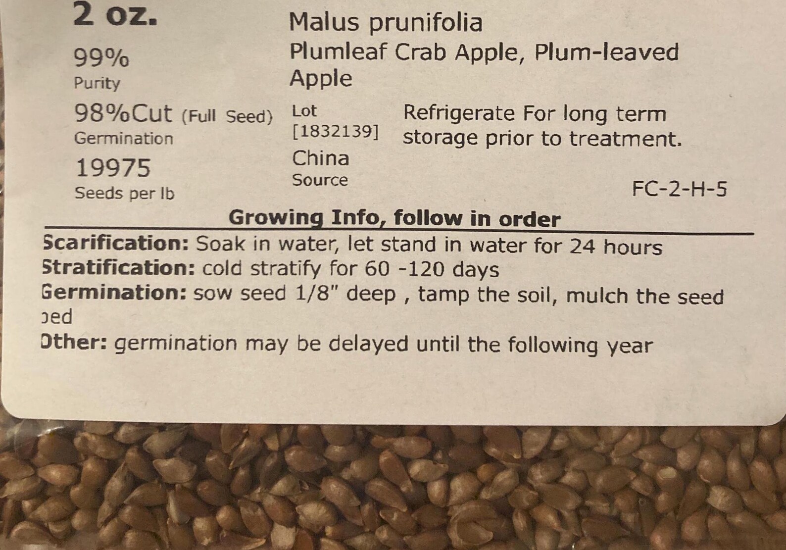 Plumleaf Crab Apple Tree Seeds (MALUS PRUNIFOLIA) (plum-leaved Apple ...