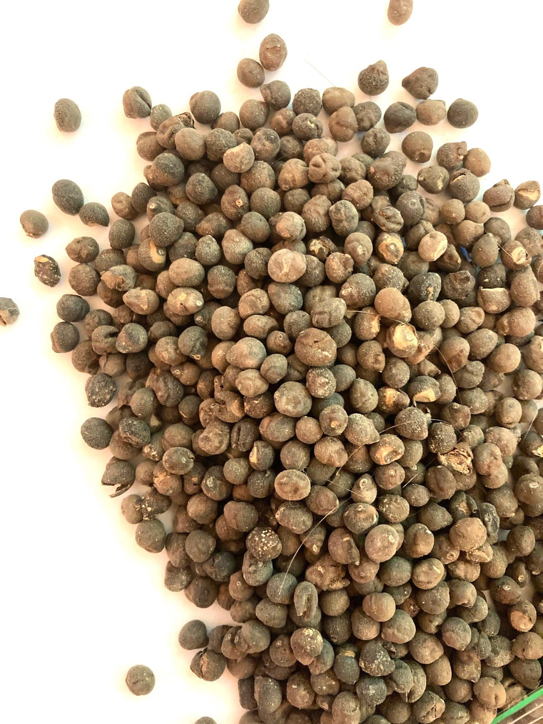 Silk Cotton Tree Seeds (CEIBA PENTANDRA) (kapok Tree)(java Kapok)(java ...