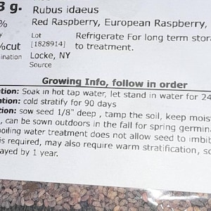 Red Raspberry Seeds (RUBUS IDAEUS) (european Raspberry) (framboise) - Etsy