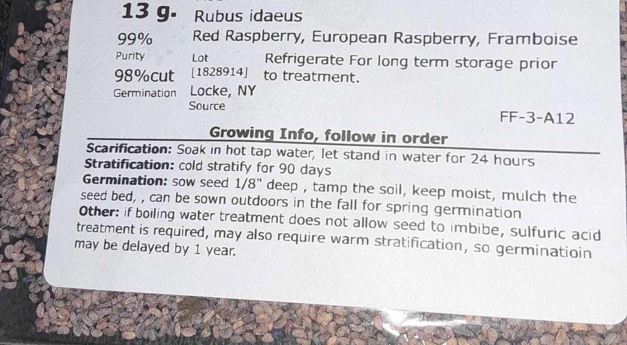 Red Raspberry Seeds (RUBUS IDAEUS) (european Raspberry) (framboise) - Etsy