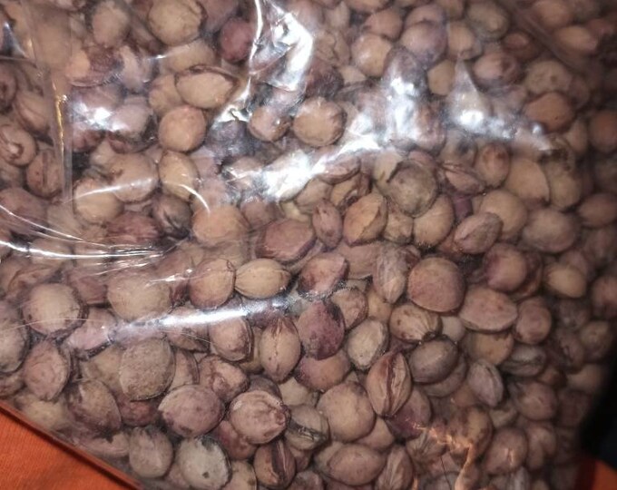 Evans Cherry Tree Seeds (prunus Cerasus 'evans') (evans Bali Cherry) - Etsy