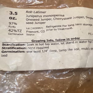 Single-seed Juniper Tree Seeds (JUNIPERUS MONOSPERMA) (cherrystone ...
