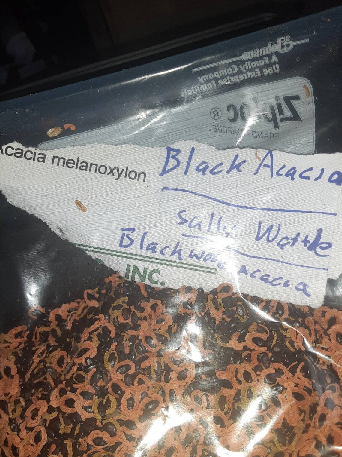 Black Acacia Tree Seeds acacia Melanoxylon | Etsy