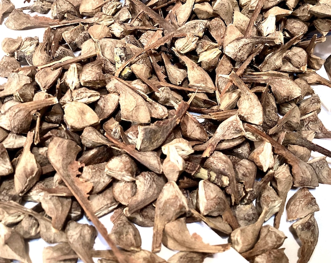 Maple Seeds, Dried - Etsy