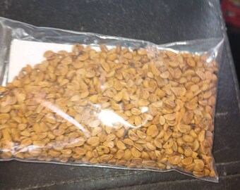 Blue Haw Tree Seeds - Etsy