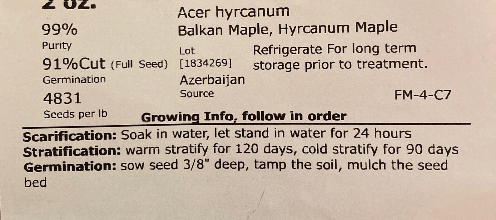 Balkan Maple Tree Seeds (acer Hyrcanum) - Etsy