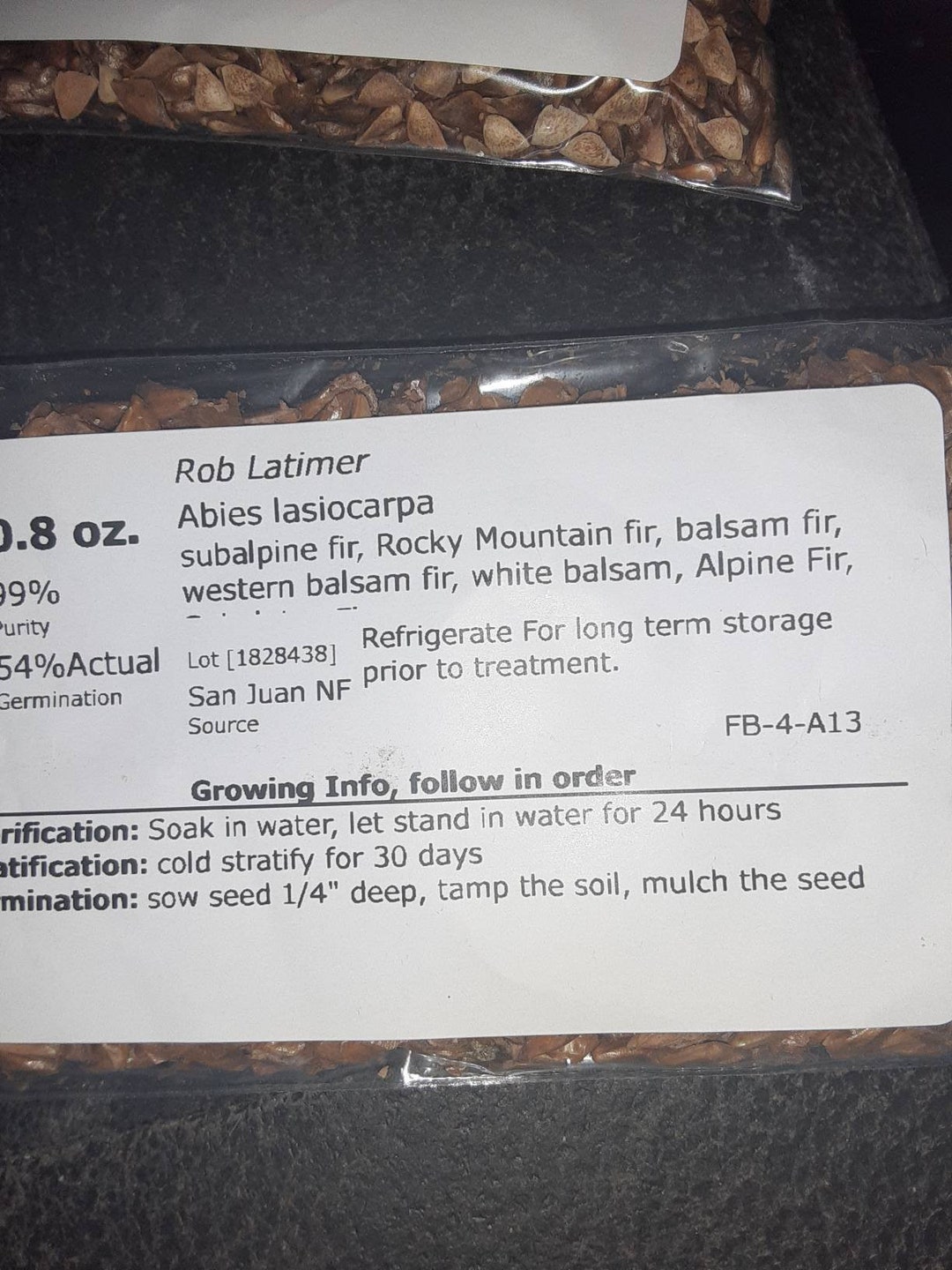 Western Balsam Fir Tree Seeds Abies Iasiocarpa Rocky Mountain Fir ...