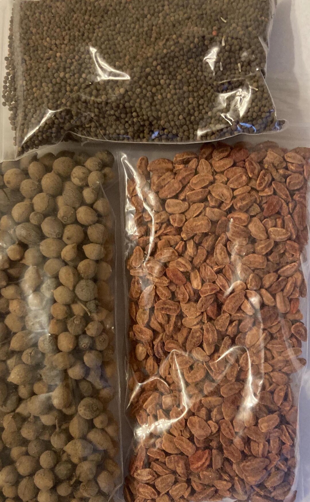 2 Random Types of Seeds (tree, Shrub, Vine) - Etsy