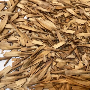 Green Ash Tree Seeds (FRAXINUS PENNSYLVANICA) (red Ash) (northern Red ...