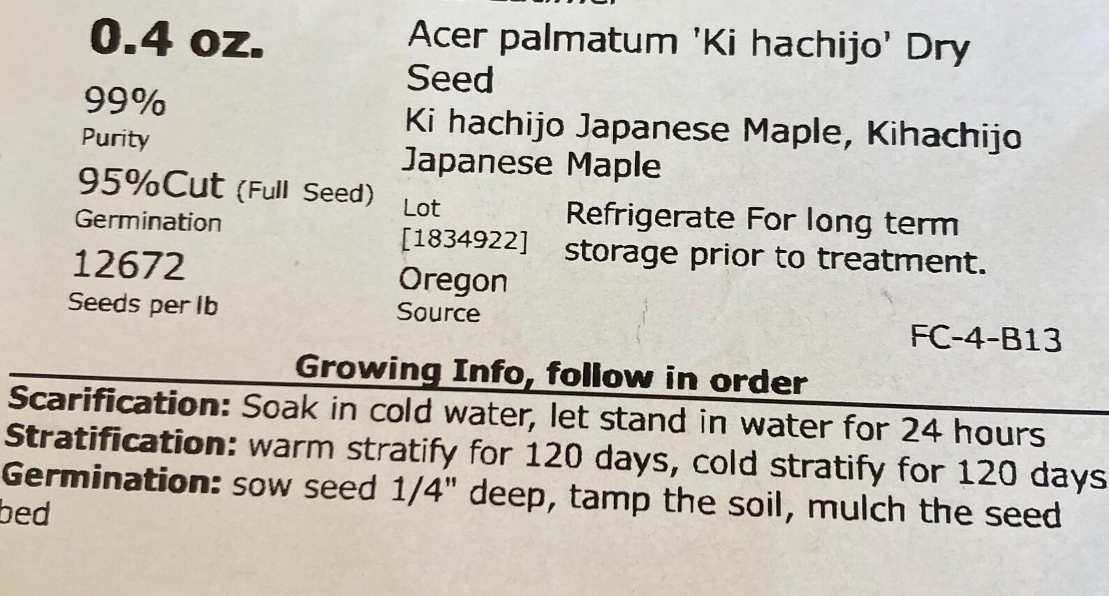 Kihachijo Japanese Maple Tree Seeds (ACER PALMATUM 'kihachijo') - Etsy